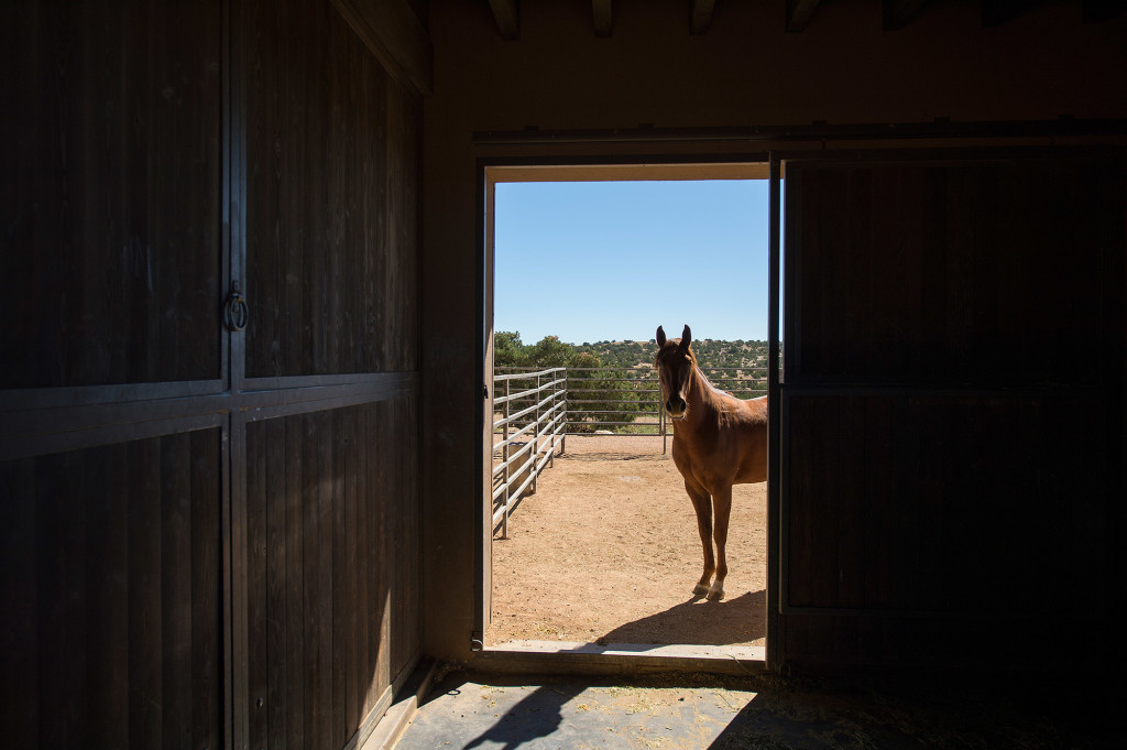 Portes ouvertes sur Cerro Pelon, le ranch de Tom Ford